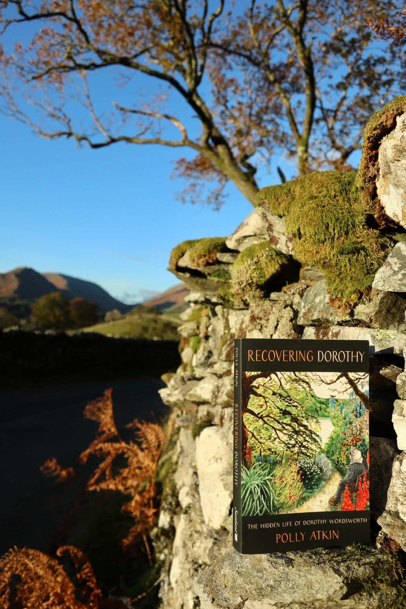 Shadow Dispatches – Polly Atkin