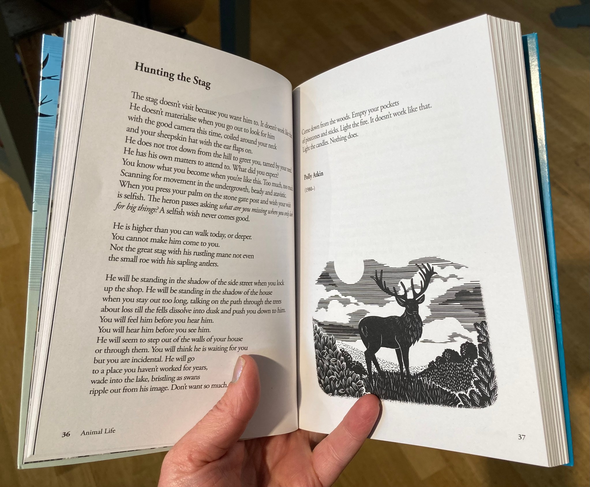 Shadow Dispatches – Polly Atkin