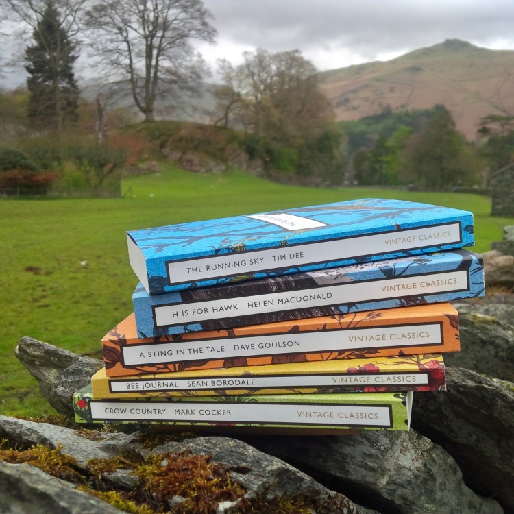 Shadow Dispatches – Polly Atkin